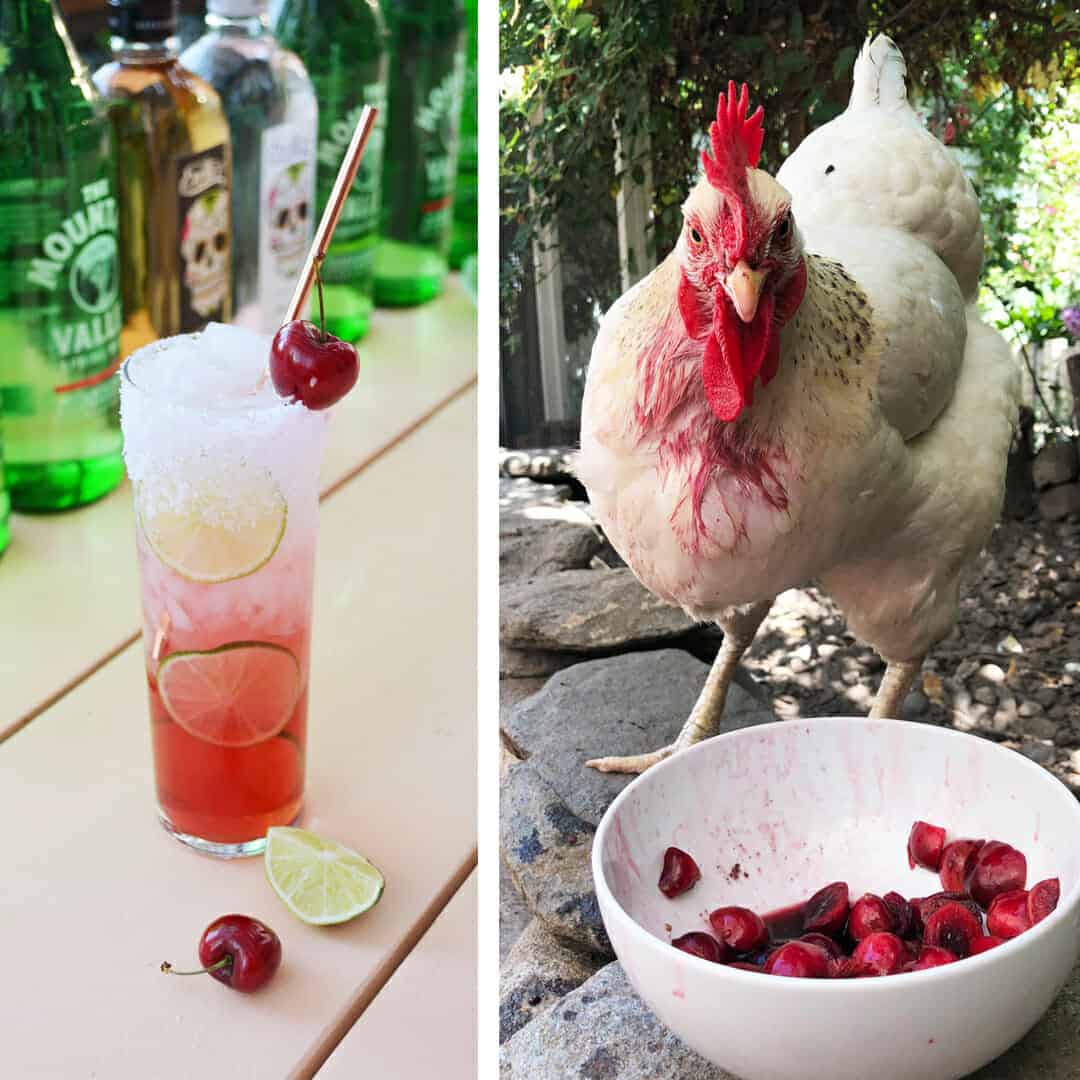 Cherry Lime Tequila Spritz By Drinking With Chickens - Exotico Tequila