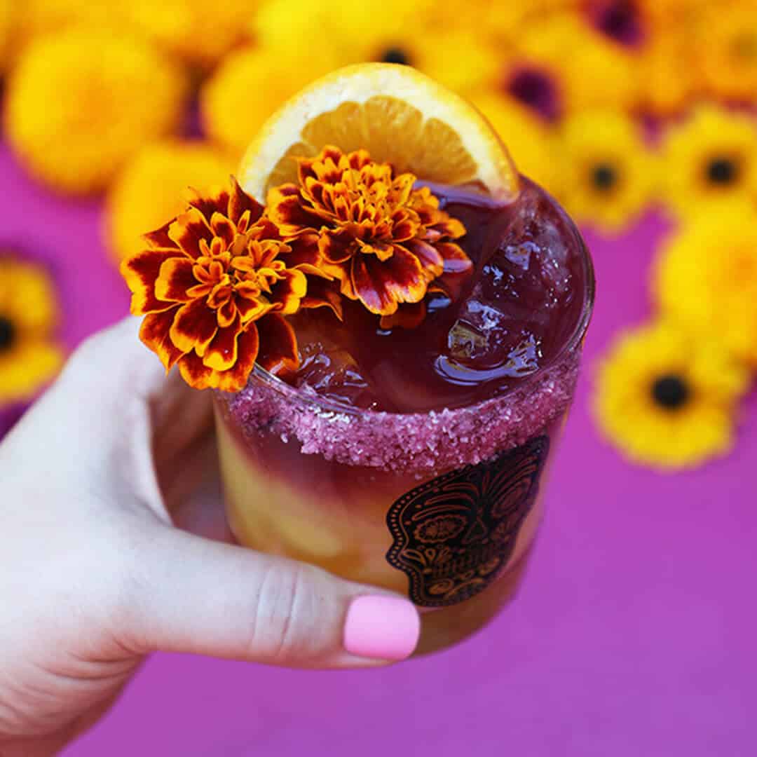 Marigold Margarita Sour by Drinking with Chickens - Exotico Tequila